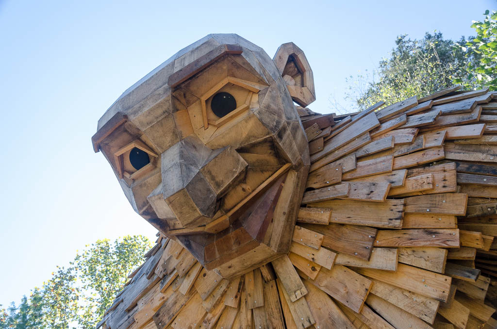The Forest Giants of Bernheim Forest – A Small Blue Marble