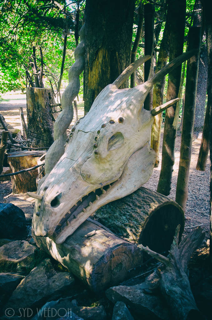 The Forest Giants of Bernheim Forest – A Small Blue Marble