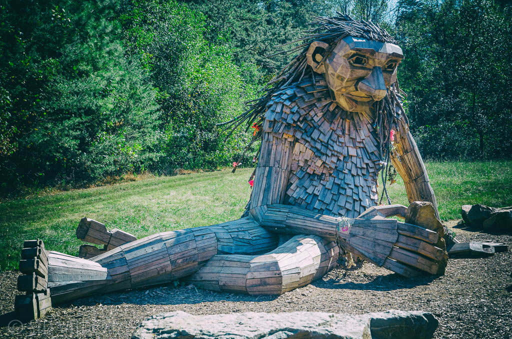 The Forest Giants of Bernheim Forest – A Small Blue Marble