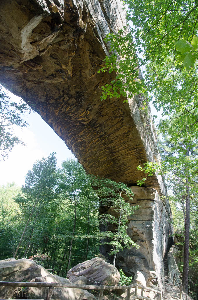Natural Bridge – A Small Blue Marble