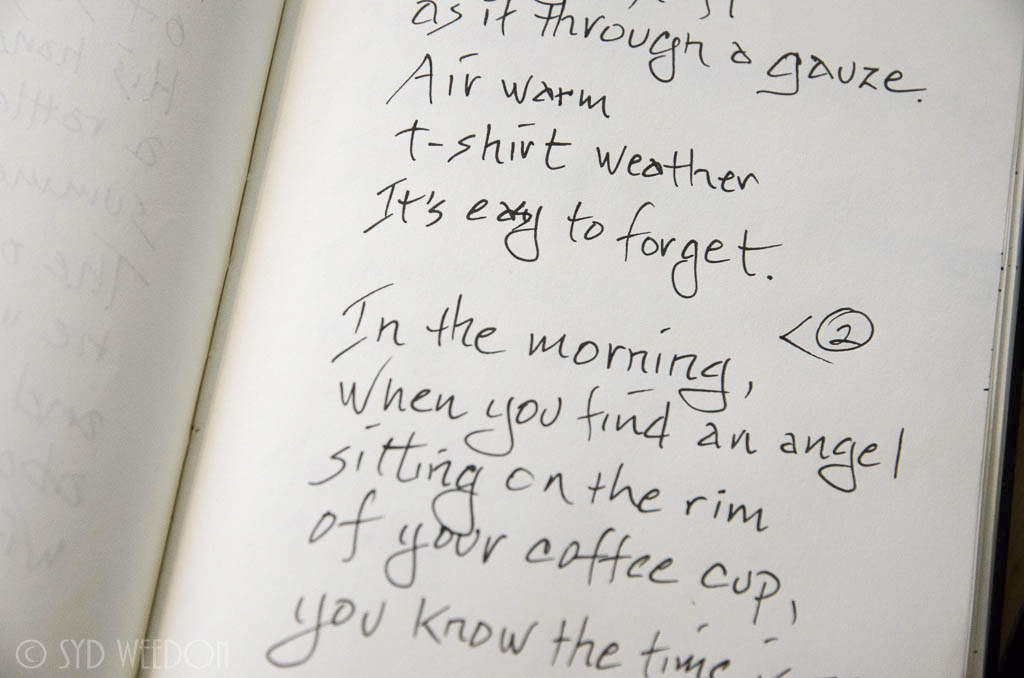 Poetry Mistakes – A Small Blue Marble